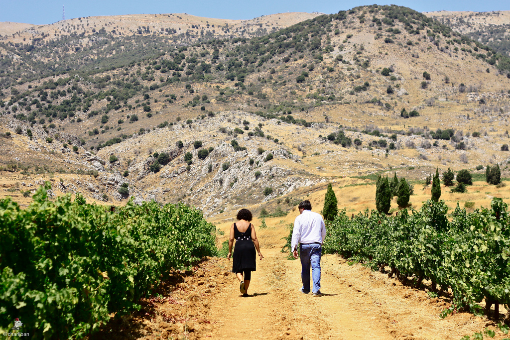Visite#8 – Le Château Kefraya avec un coeur « grand comme ça ...